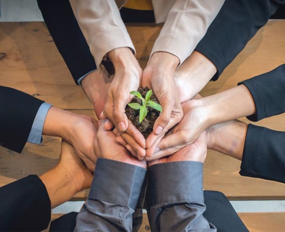 RSE : Définitions, Graphiques, Piliers, Étapes, Exemples